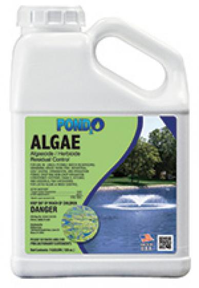 DIY Care - Cook's Nursery